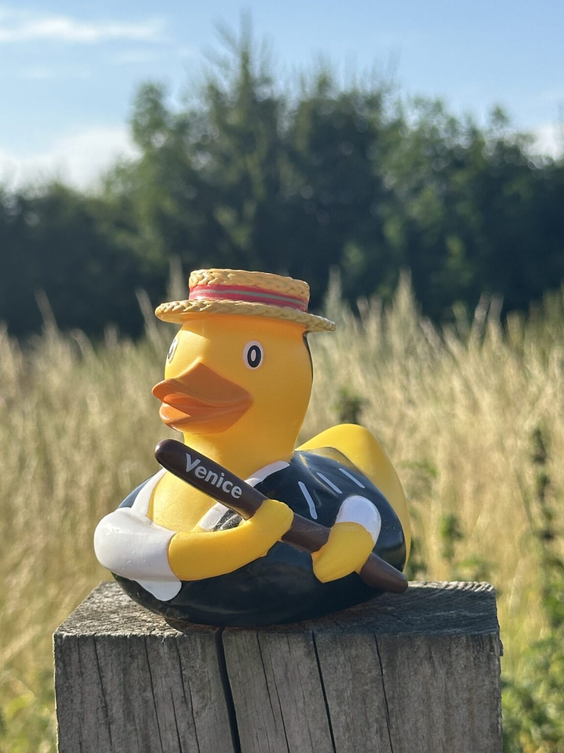 Custom Rubber Ducks, Bespoke Designs For You | JustDucks