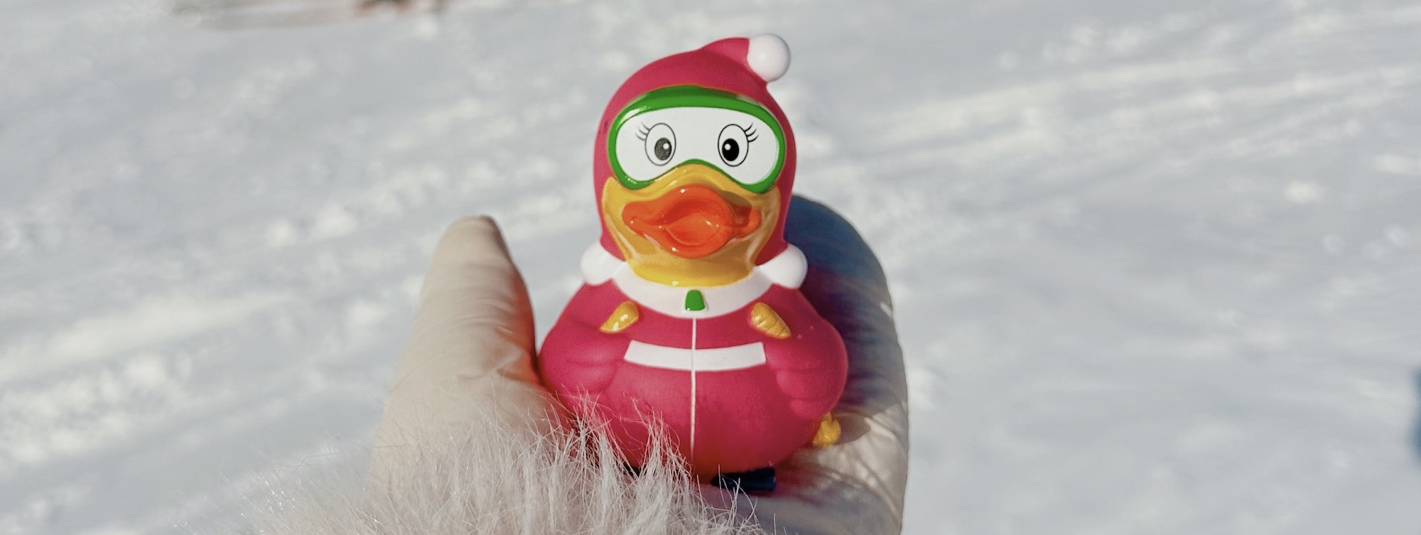 Custom Rubber Ducks, Bespoke Designs For You | JustDucks