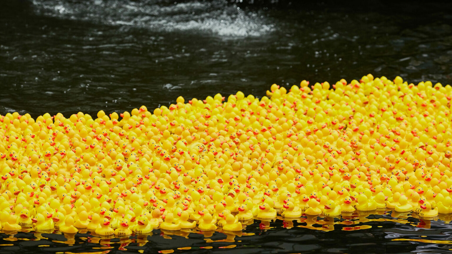 10 Surprising Facts About Rubber Ducks | JustDucks UK